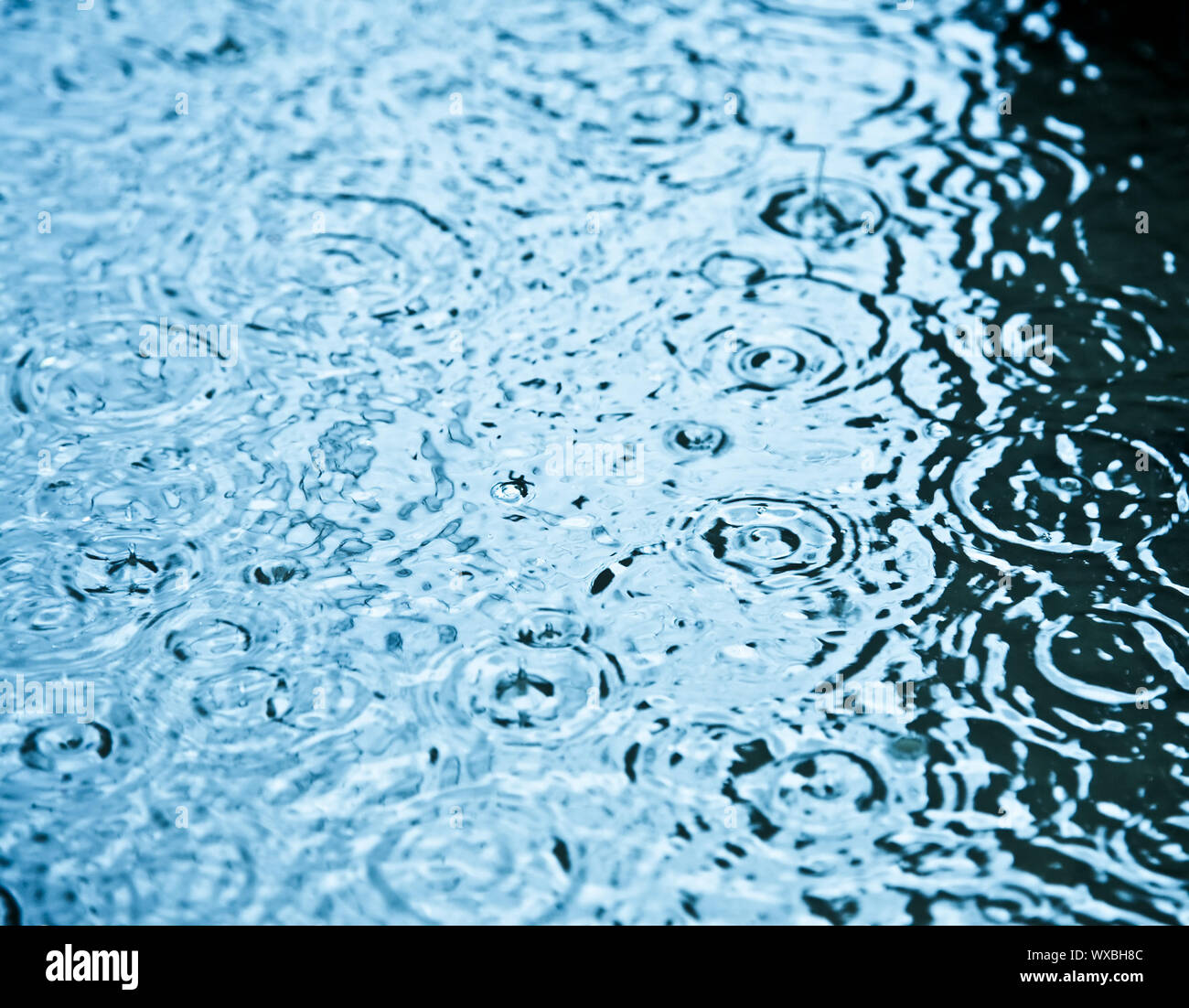 Rain drops rippling in a puddle with blue sky reflection Stock Photo ...