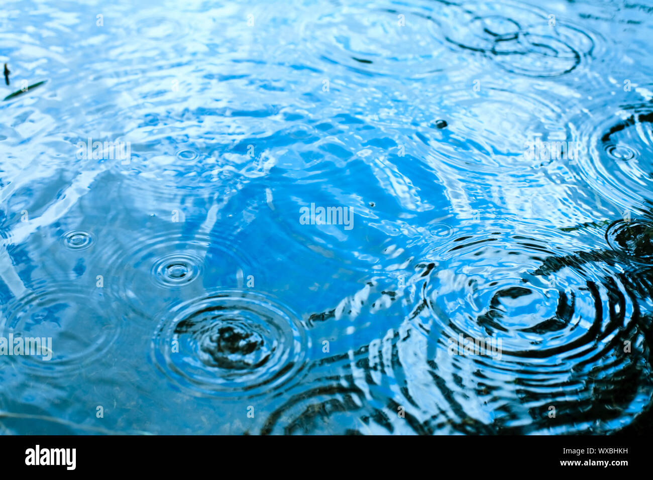Rain drops rippling in a puddle with blue sky reflection Stock Photo ...