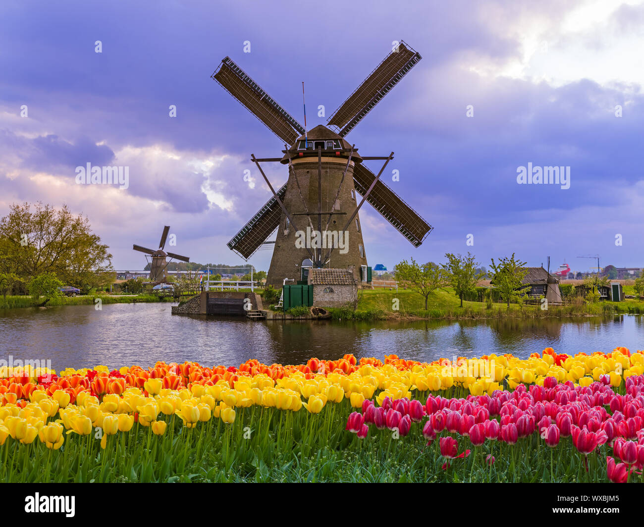 Holland tulip windmill canal hi-res stock photography and images - Alamy