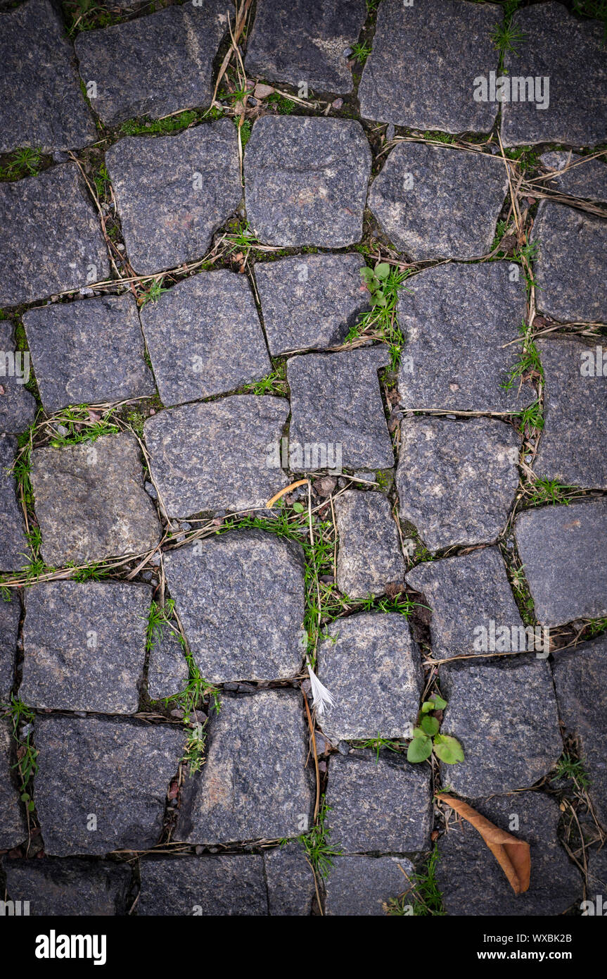 old stoneblock pavement cobbled with square granite blocks with green ...