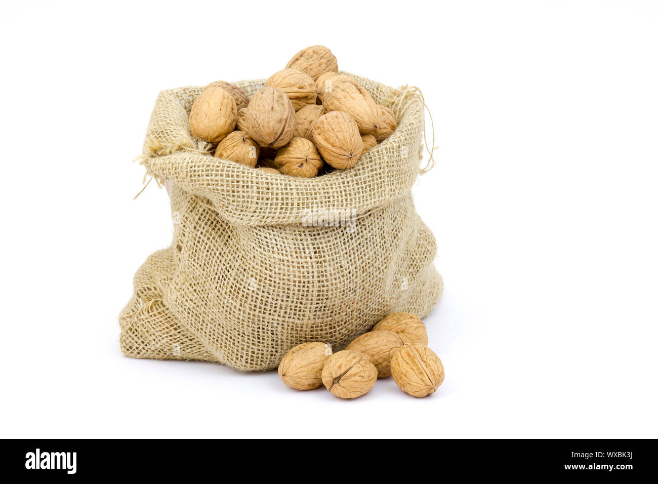 Burlap sack full of whole walnuts isolated on white background Stock ...