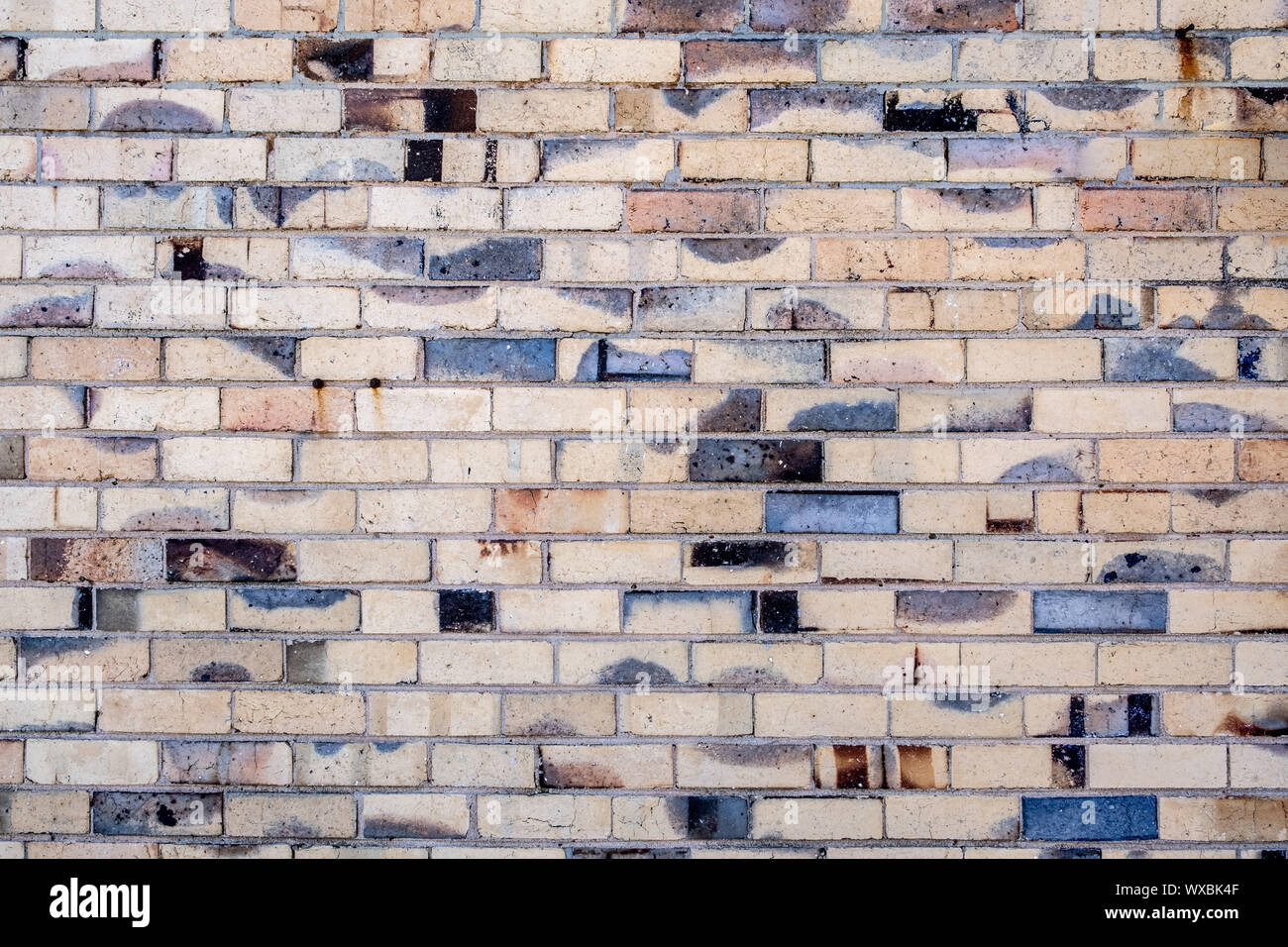 Decorative brick wall abstract background Stock Photo - Alamy