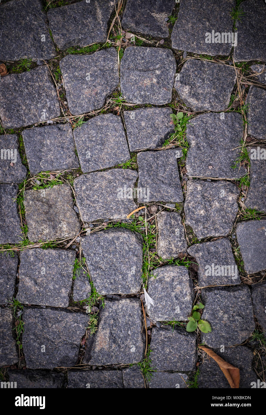 old stoneblock pavement cobbled with square granite blocks with green ...