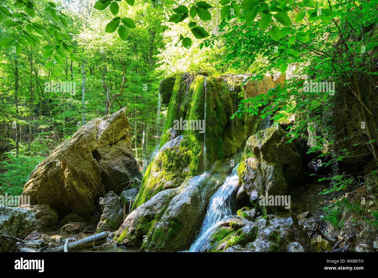Linn park waterfall hi-res stock photography and images - Alamy
