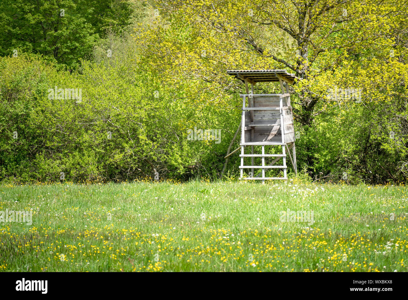 hunters tree stand Stock Photo - Alamy