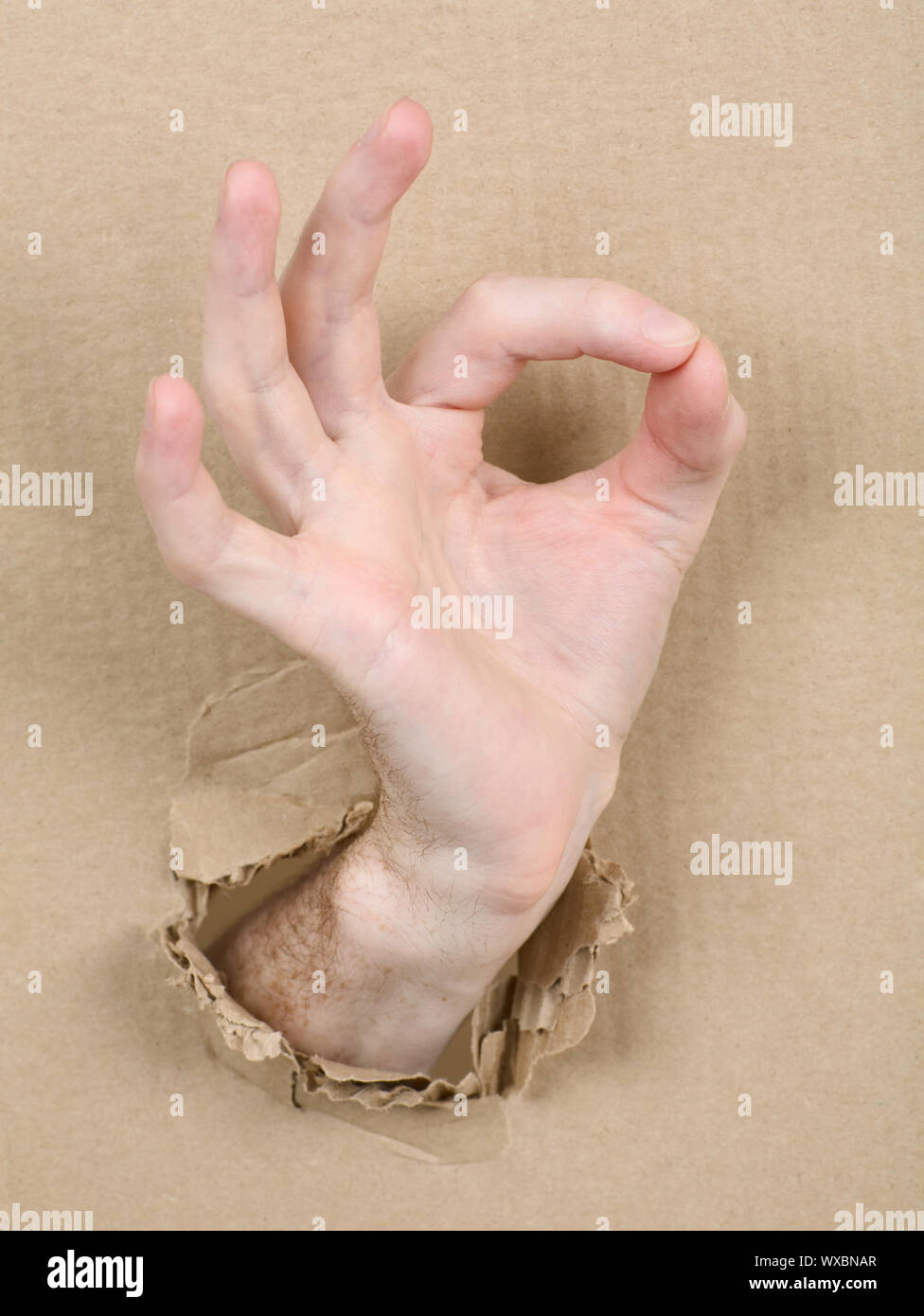 Gesture male hand through from hole in cardboard Stock Photo - Alamy