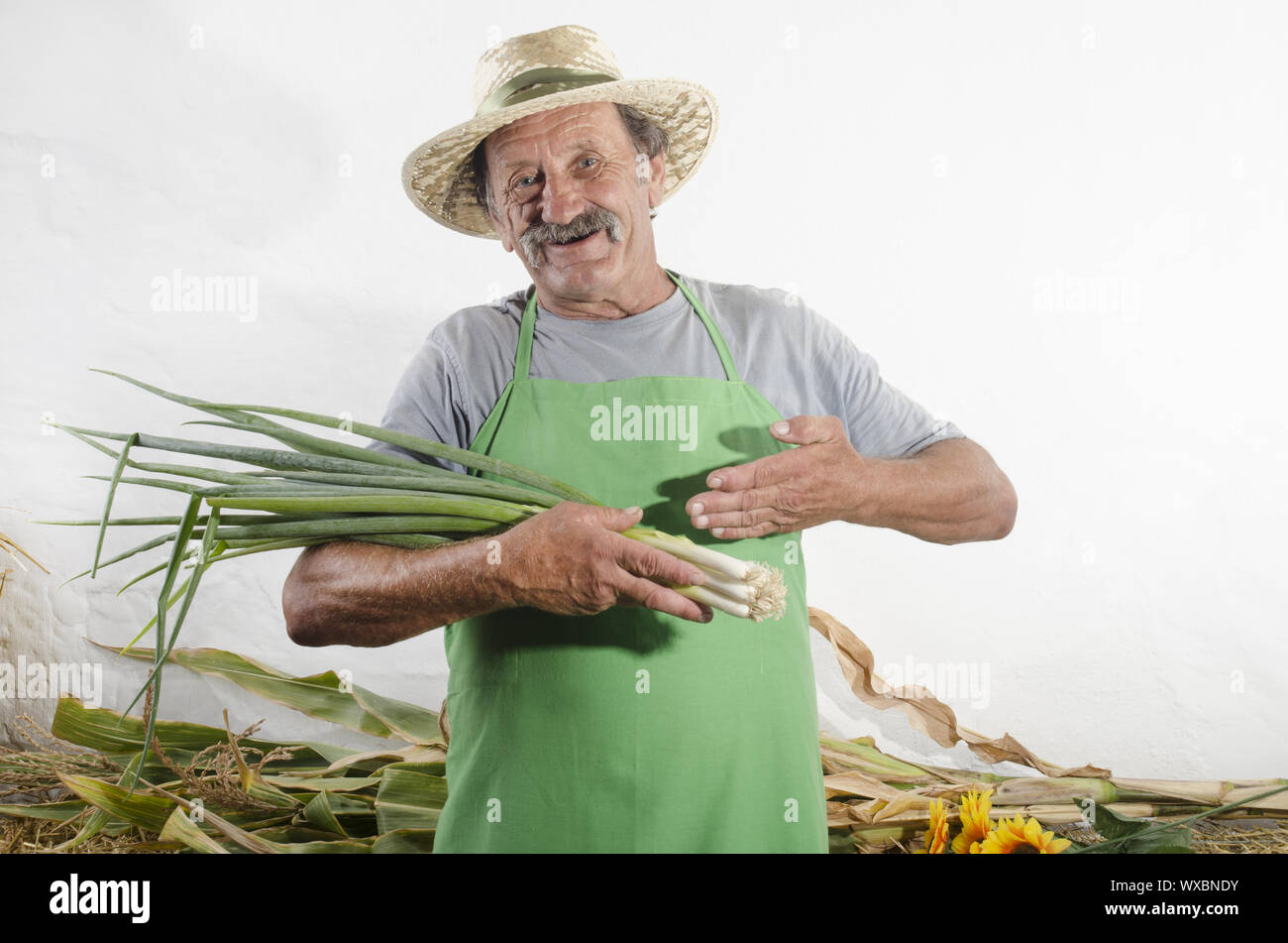 organic farmer with a bunch spring onions in his hand Stock Photo - Alamy
