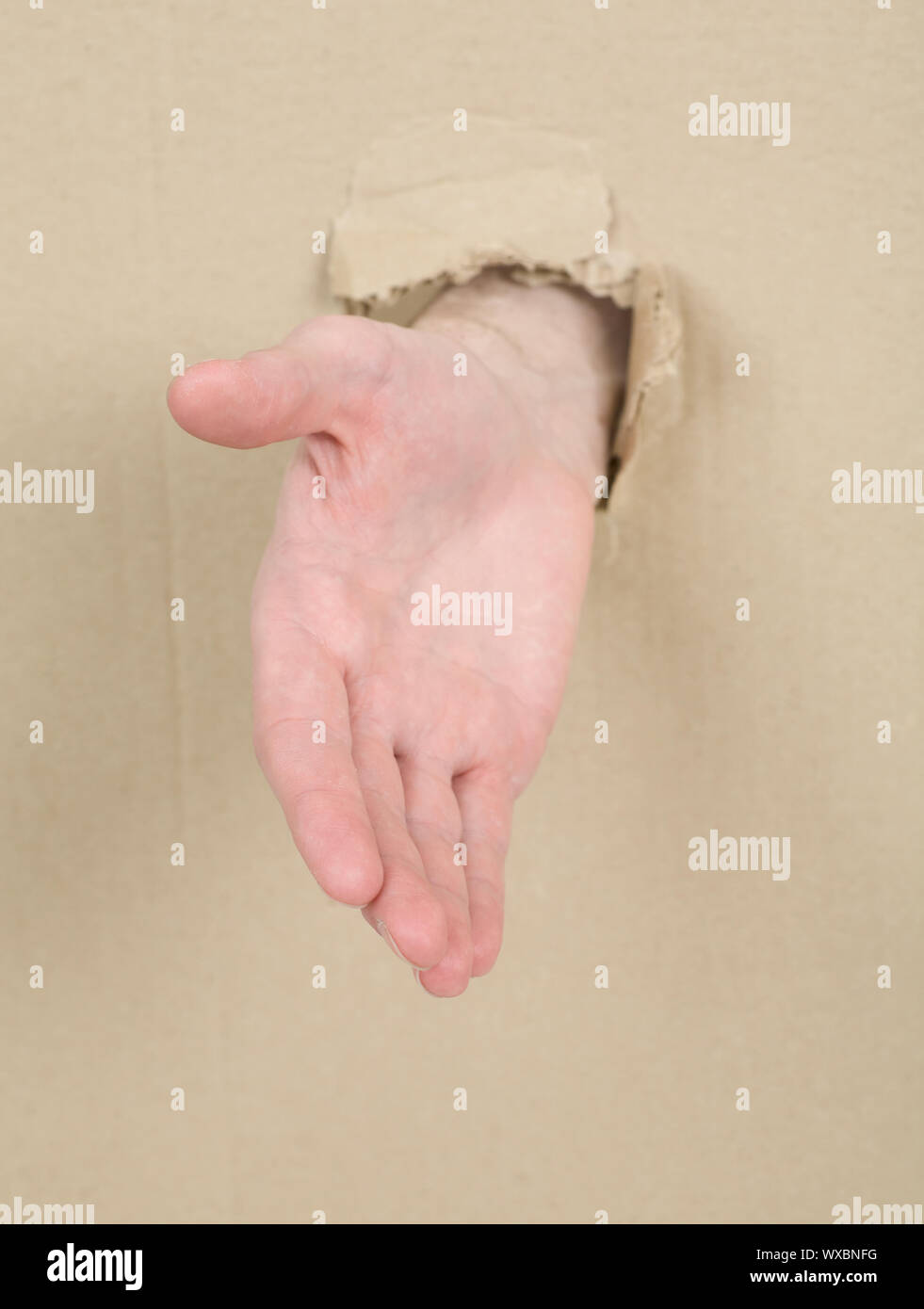Male hand through from hole in cardboard Stock Photo - Alamy