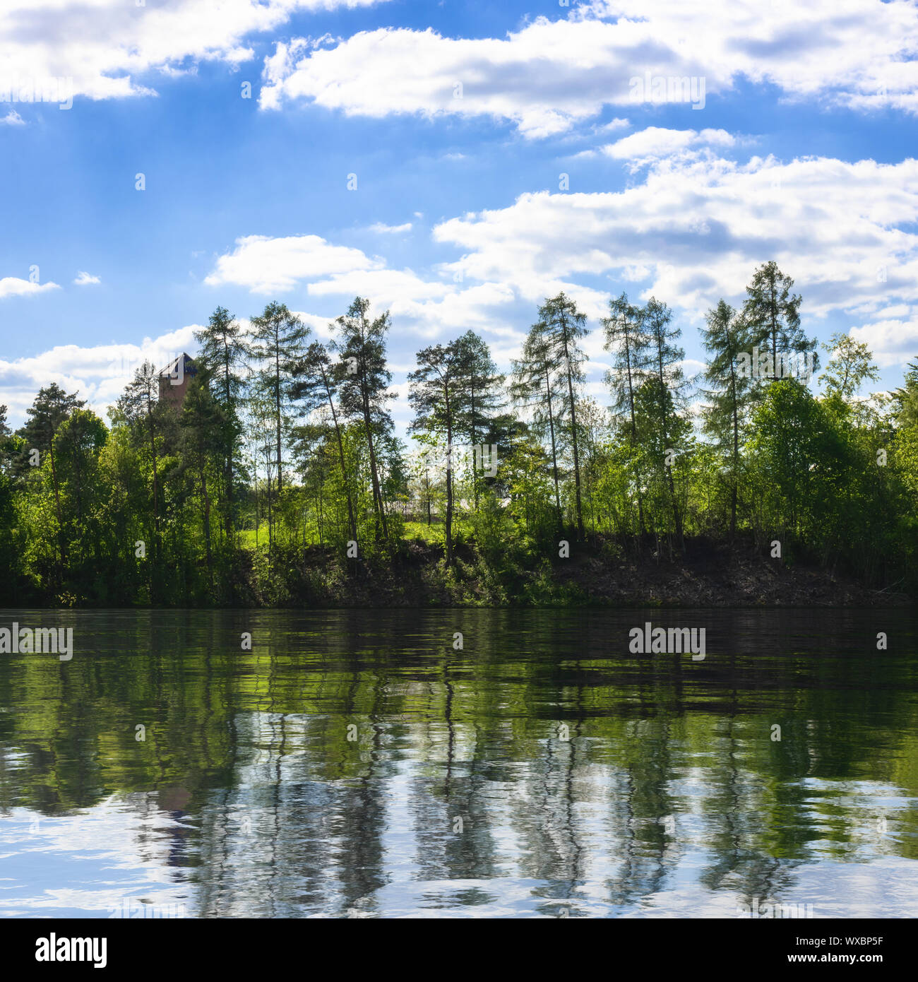lake with trees nature rural background Stock Photo - Alamy