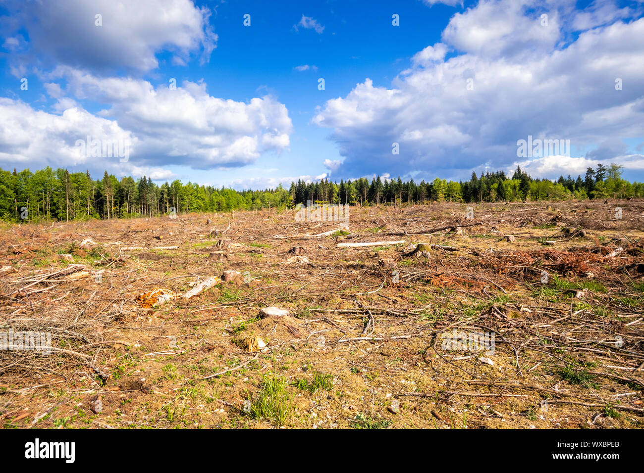 Empty scenery hi-res stock photography and images - Alamy