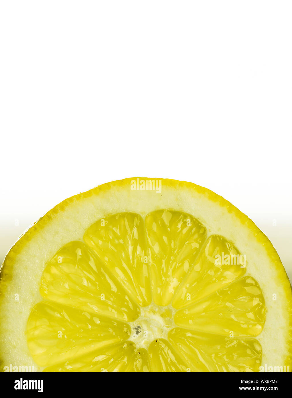 isolated and backlit lemon fruit on a bright white background Stock ...