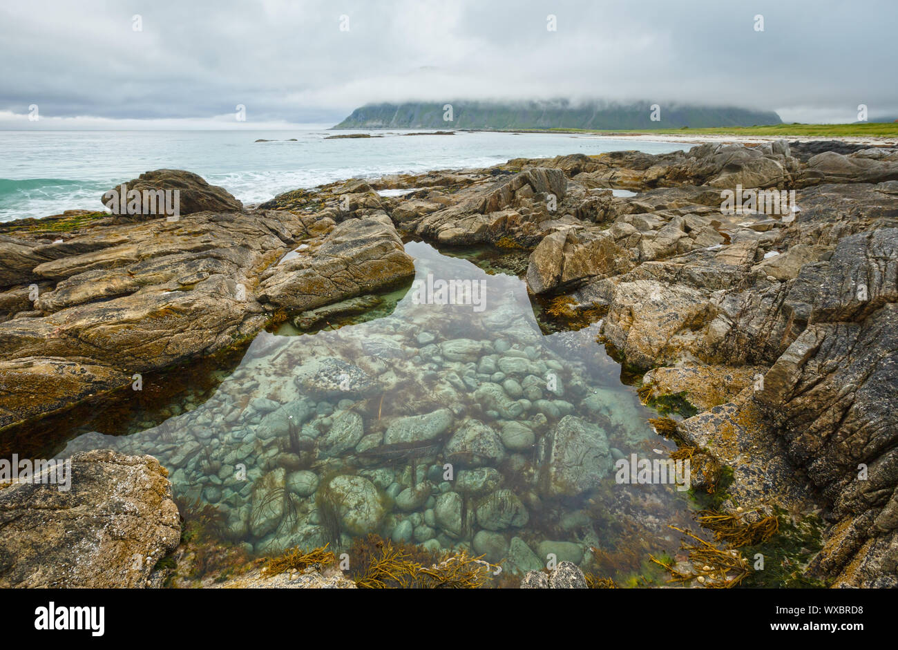 H ramberg hi-res stock photography and images - Alamy