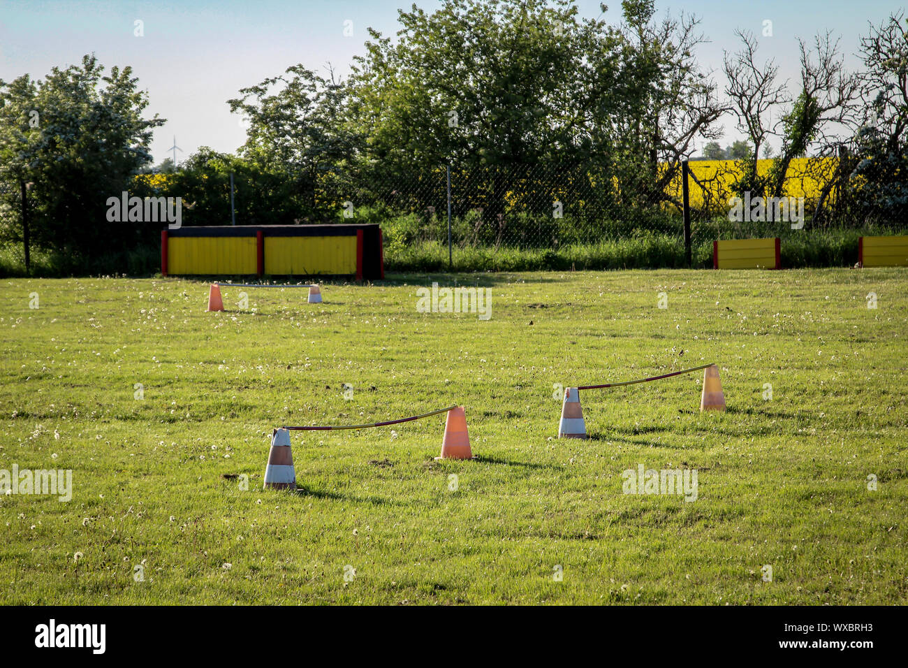 a training ground for dog owners and their dogs Stock Photo - Alamy