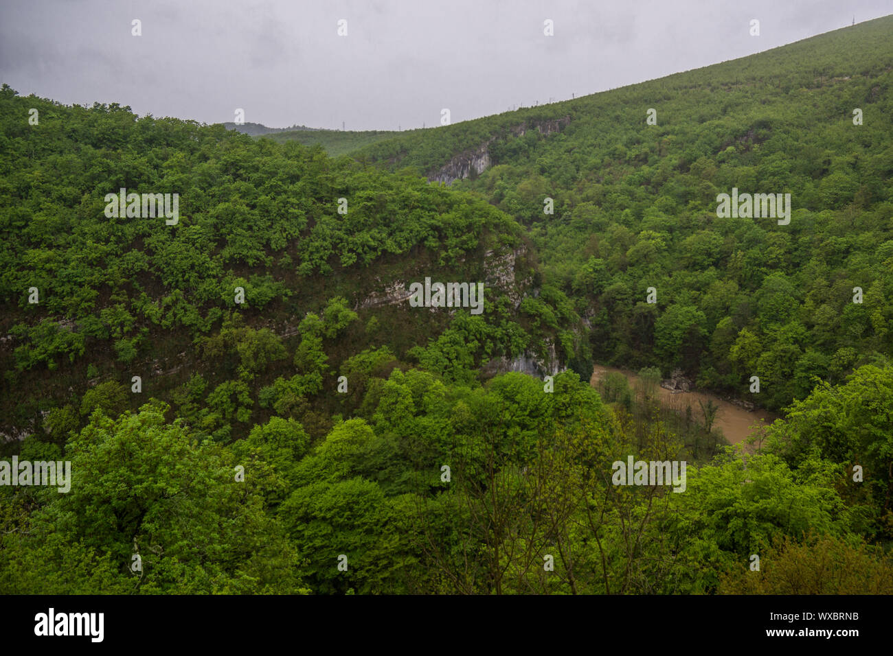 landscape around Motsameta Monastery Stock Photo - Alamy