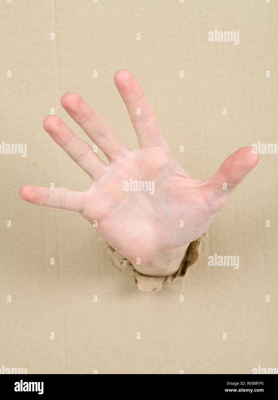Hand put out from hole in cardboard Stock Photo - Alamy