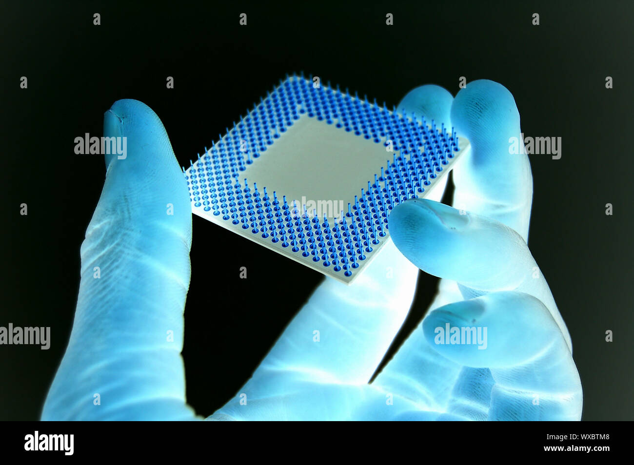 This is an image of a hand holding a microprocessor Stock Photo - Alamy