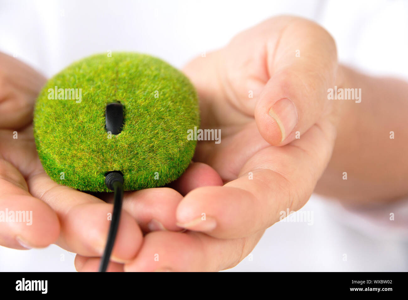 hand holding eco mouse Stock Photo - Alamy