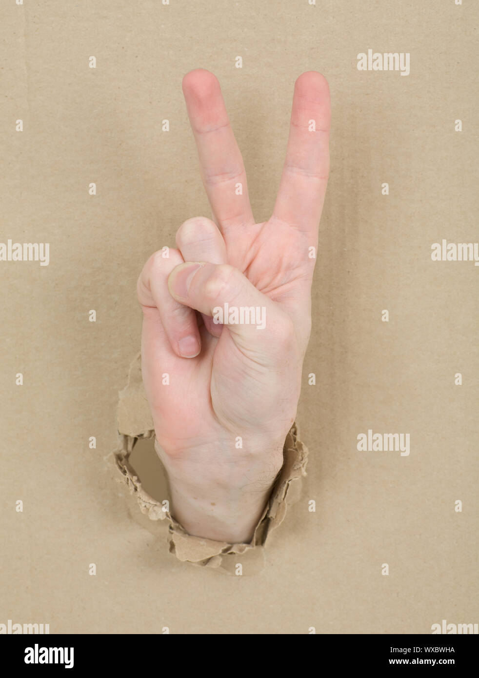 Gesture male hand through from hole in cardboard Stock Photo - Alamy