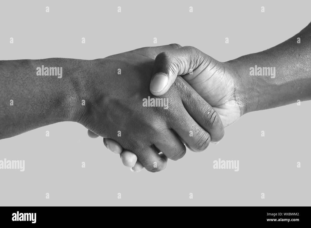 Honour the covenant hi-res stock photography and images - Alamy