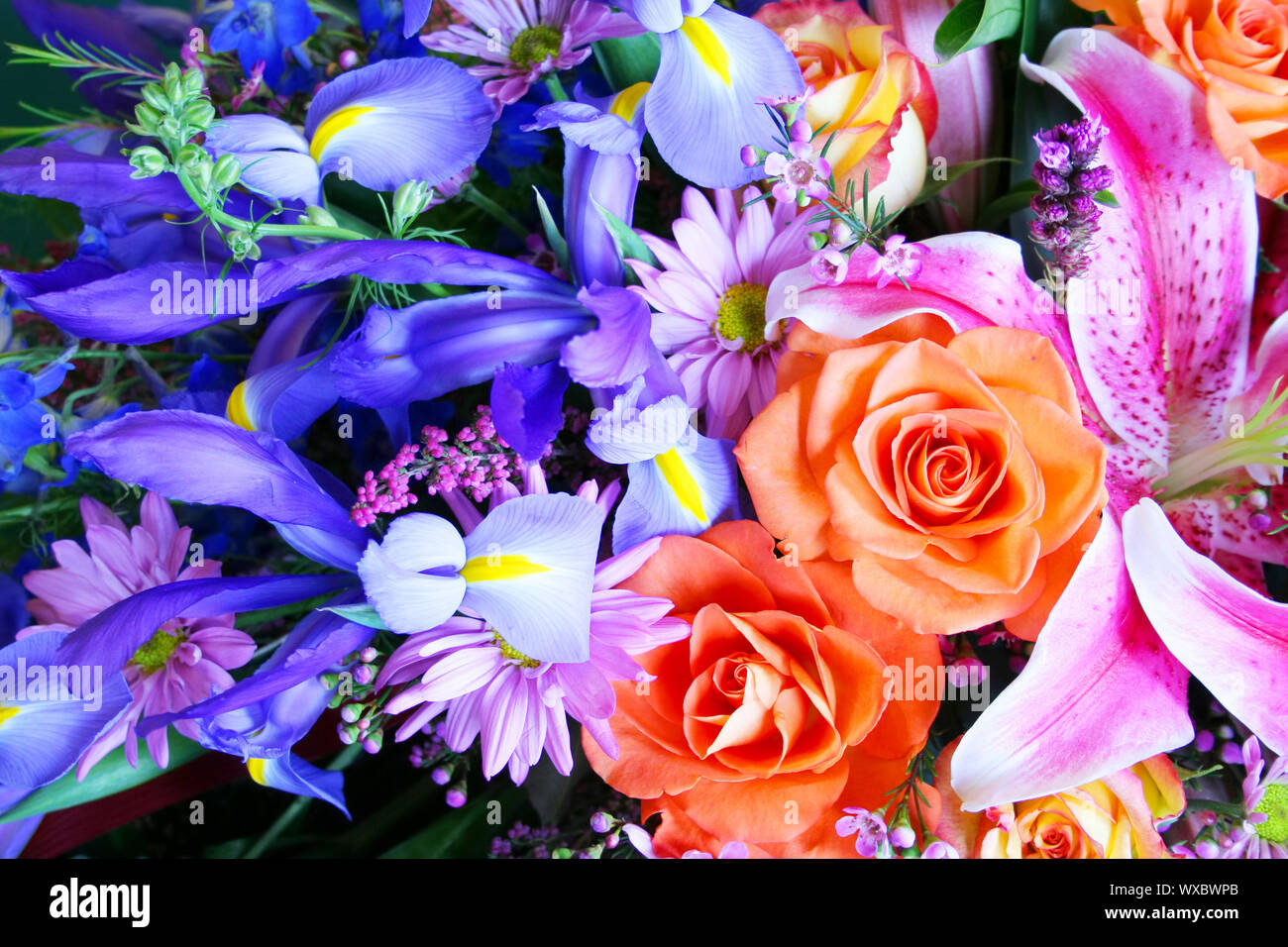 Bouquet of beautiful vibrant flowers Stock Photo - Alamy Bouquet of beautiful vibrant flowers Stock Photo - Alamy