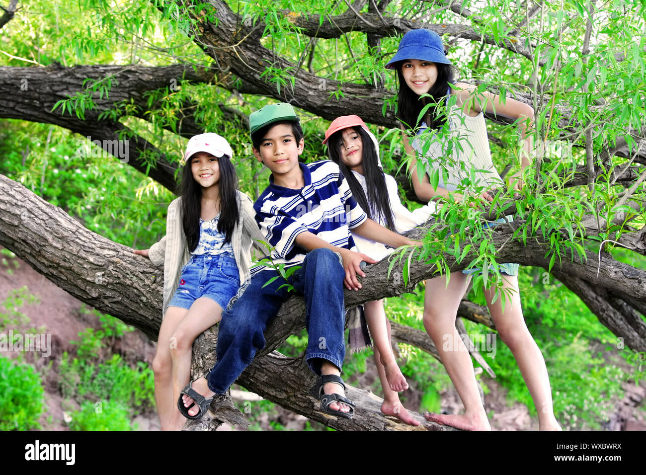 Boy climbing tree barefoot hi-res stock photography and images - Alamy