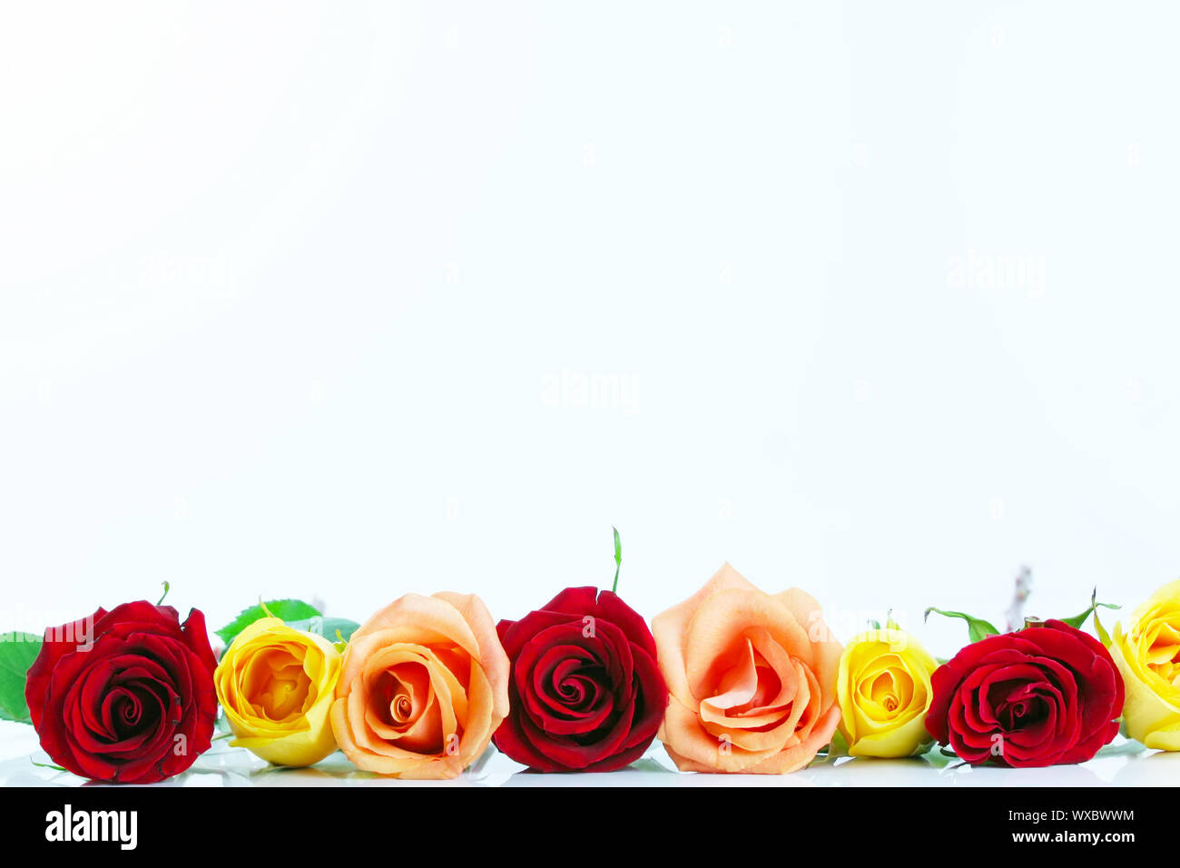 White roses key on wedding hi-res stock photography and images - Alamy