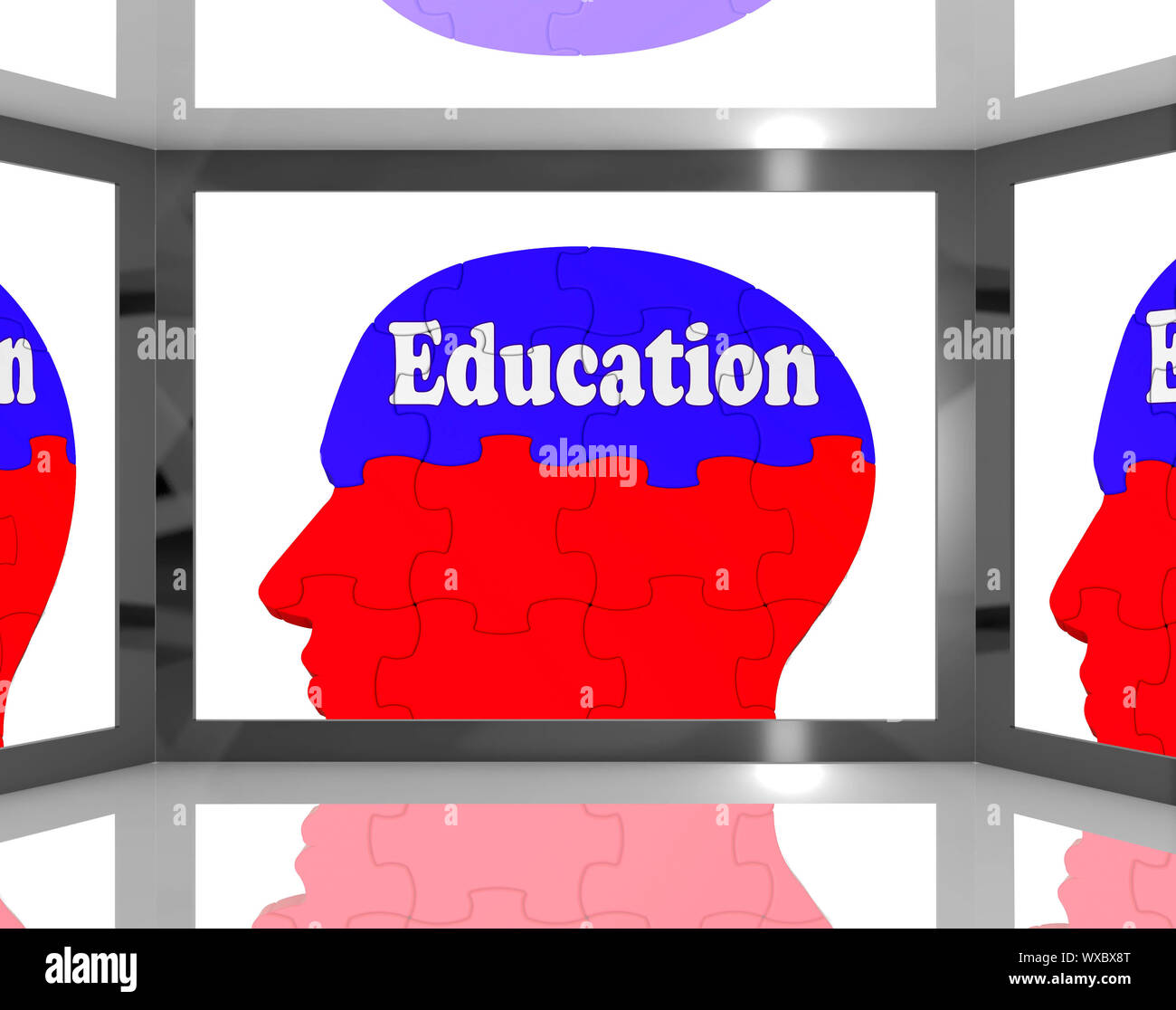 Education On Brain On Screen Shows Human Learning And Teaching Stock ...