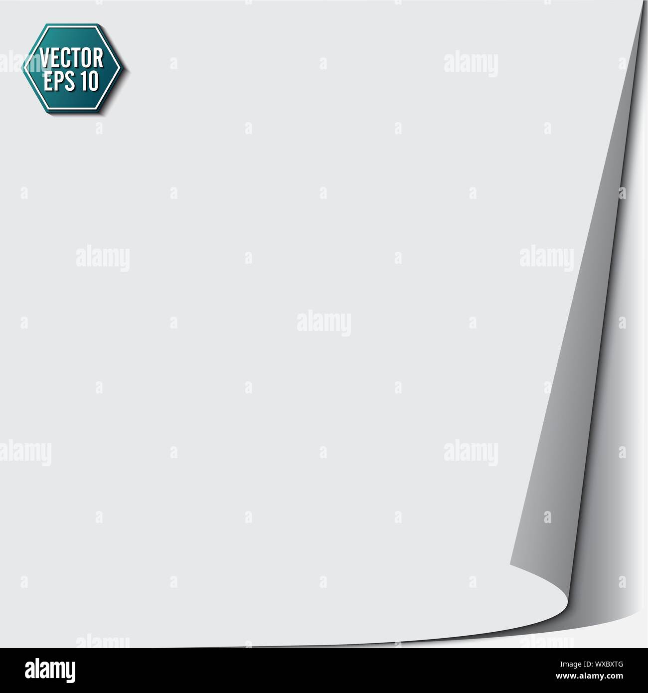 Rolled up newspaper blank hi-res stock photography and images - Alamy