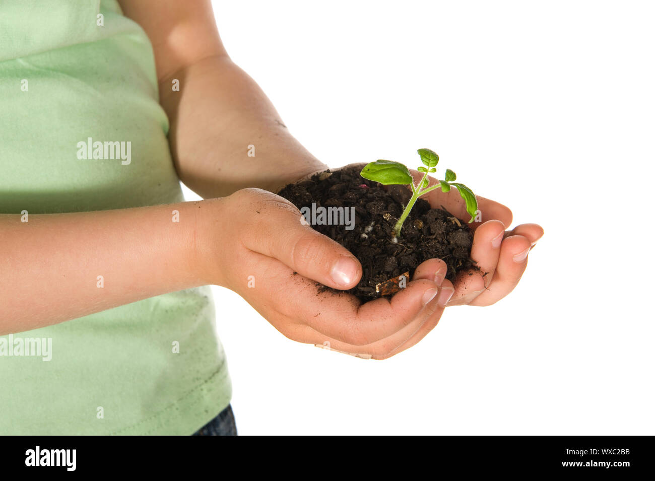 child is holding new life in the hands Stock Photo - Alamy