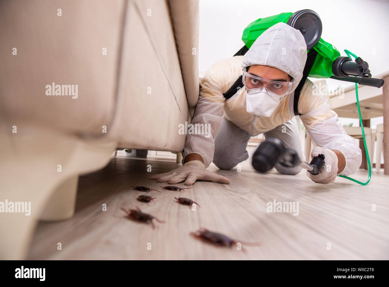 Pest control contractor working in the flat Stock Photo - Alamy