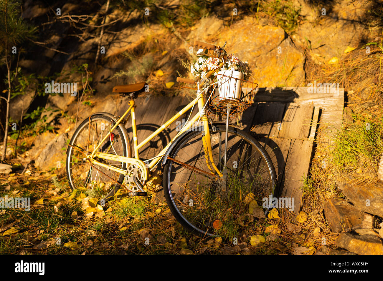 Cycling cabin hi-res stock photography and images - Alamy