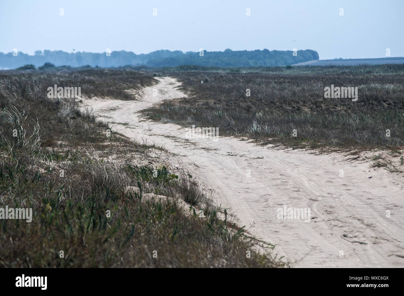 Countryside sandy road along sea beach dunes in summer day Stock Photo ...