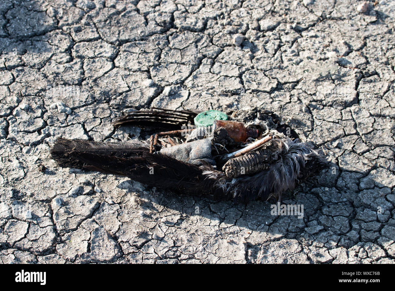 global environmental disaster Stock Photo - Alamy