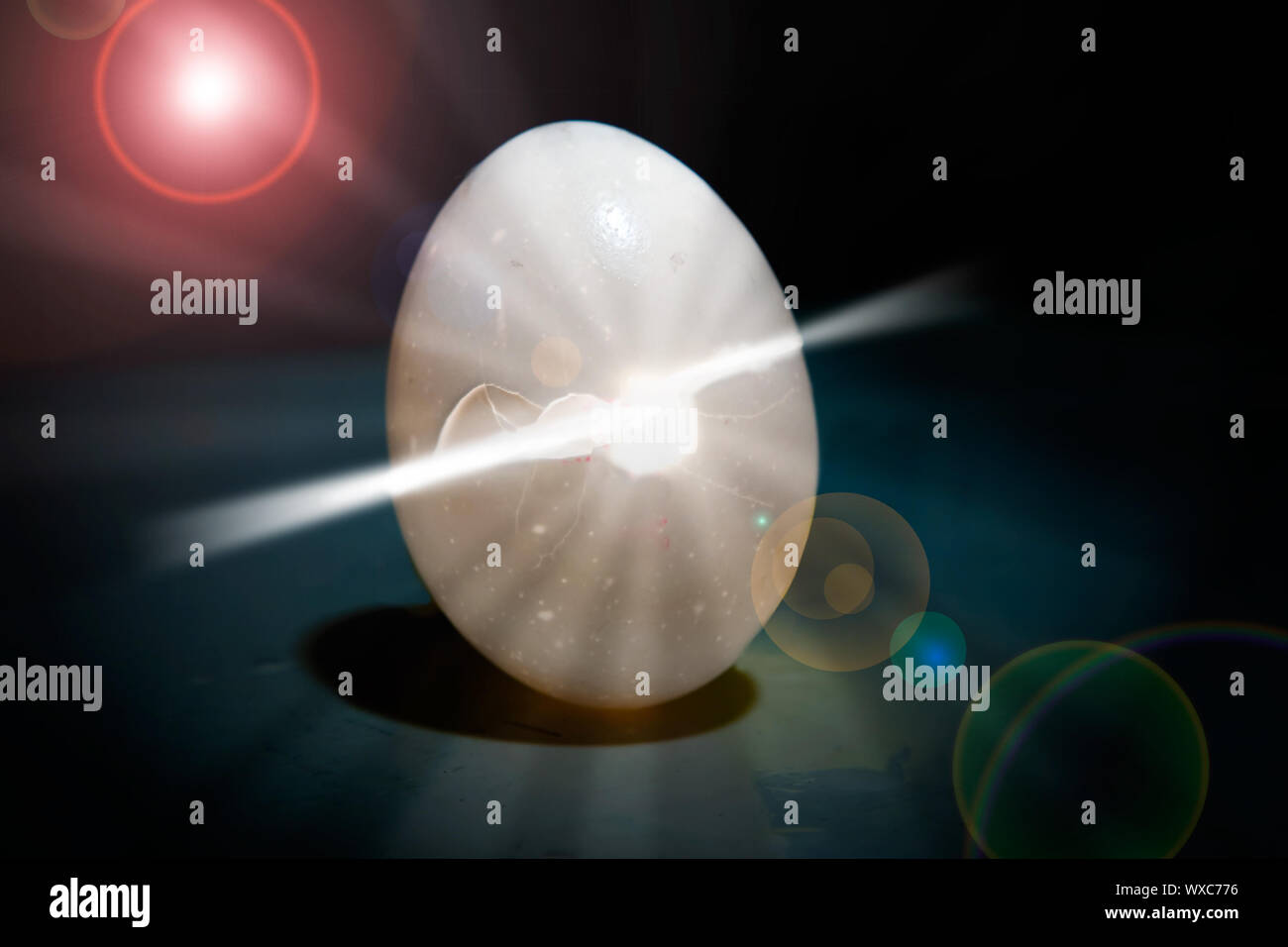 An egg with a magnificant light coming out of it. Birth concept image ...