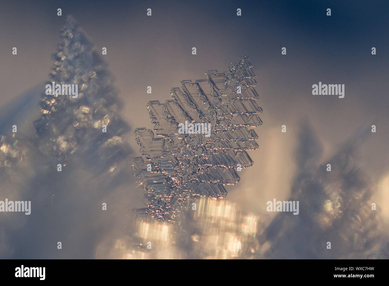 Eiskristallformen hi-res stock photography and images - Alamy