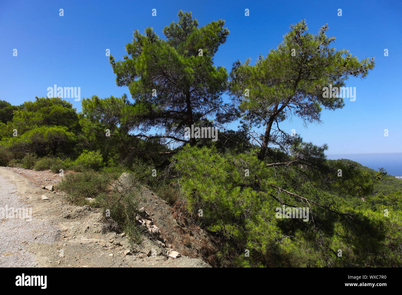 Cyprus nature hi-res stock photography and images - Alamy