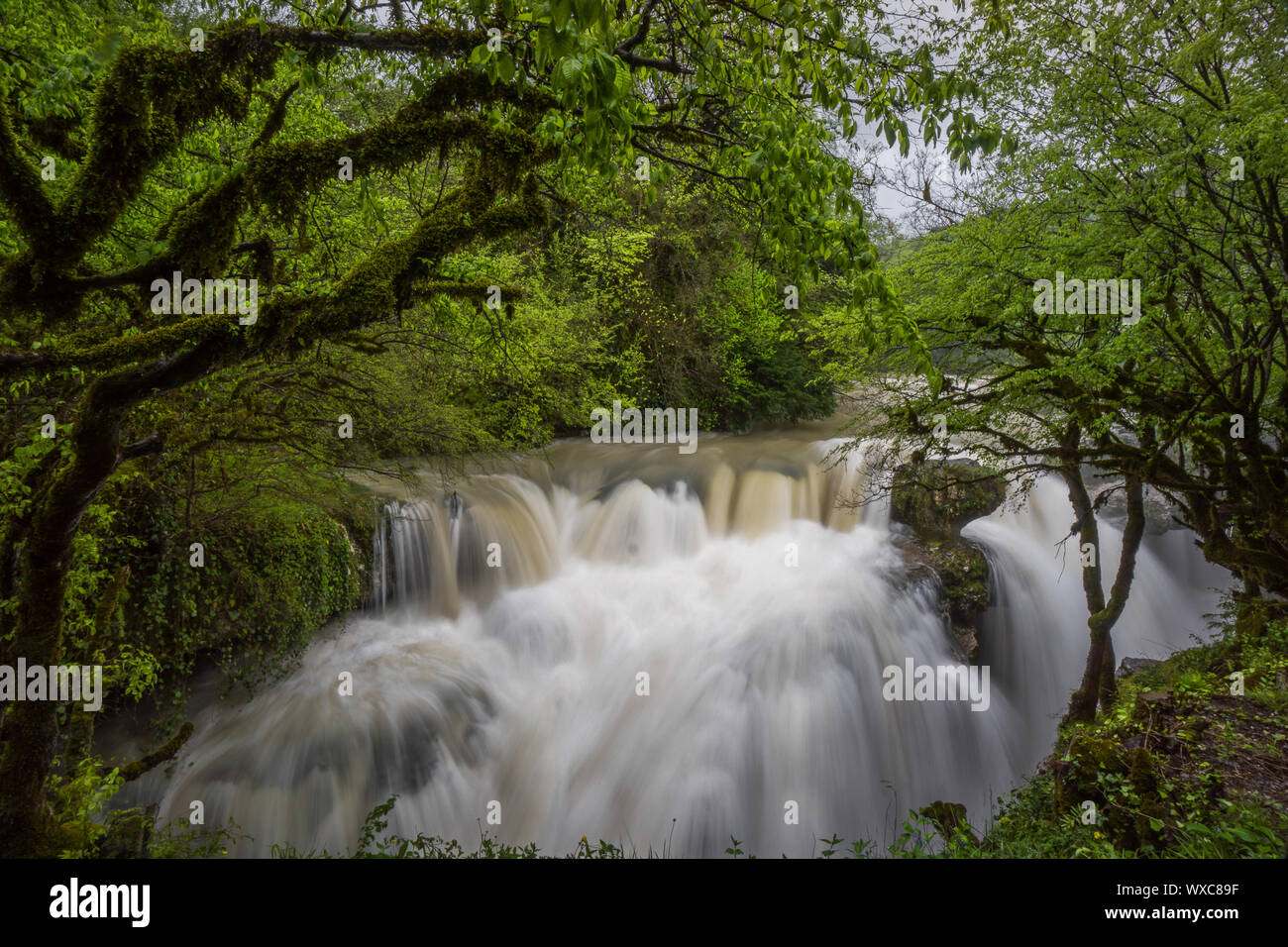 Broad river valley georgia hi-res stock photography and images - Alamy