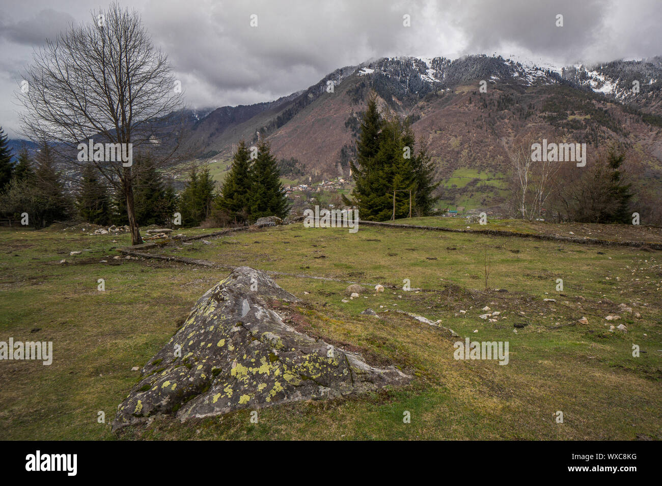 stone on meadow with trees in background Stock Photo - Alamy