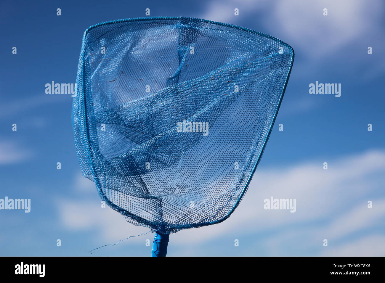 Landing Net in front of a blue Sky Stock Photo - Alamy