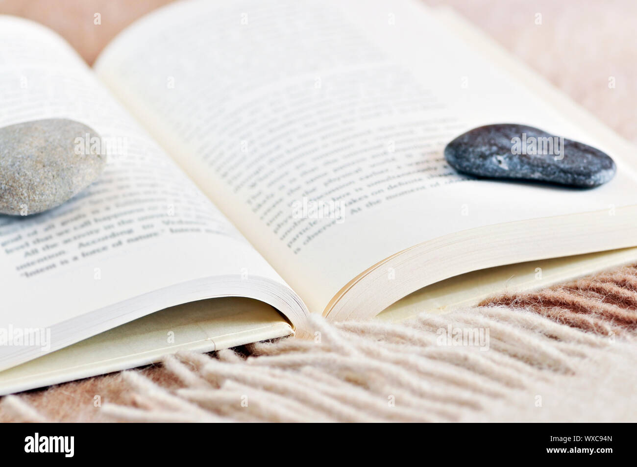 Quiet time relaxing and reading a book Stock Photo - Alamy