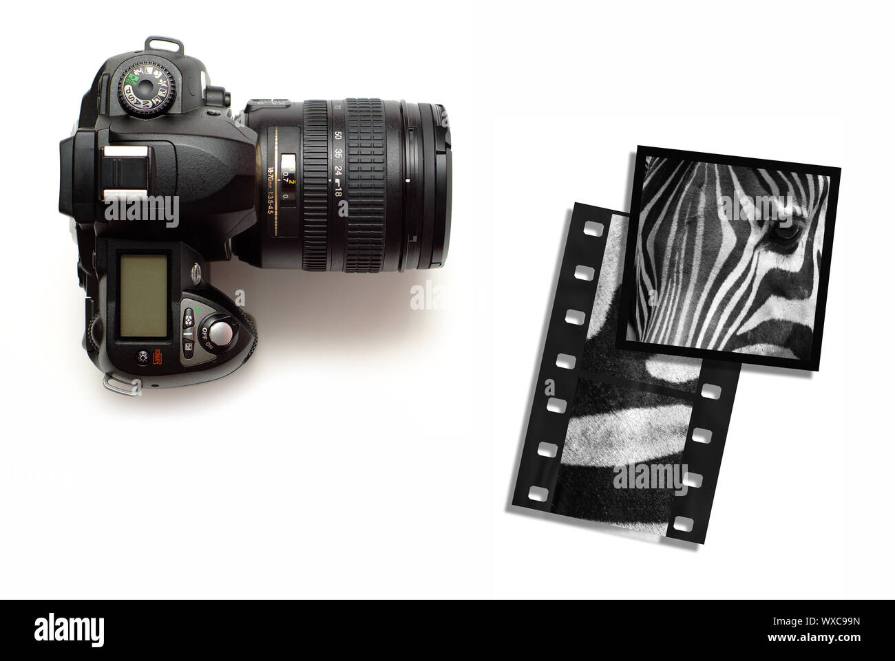 Modern digital slr camera or slide film camera with wildlife zebra ...