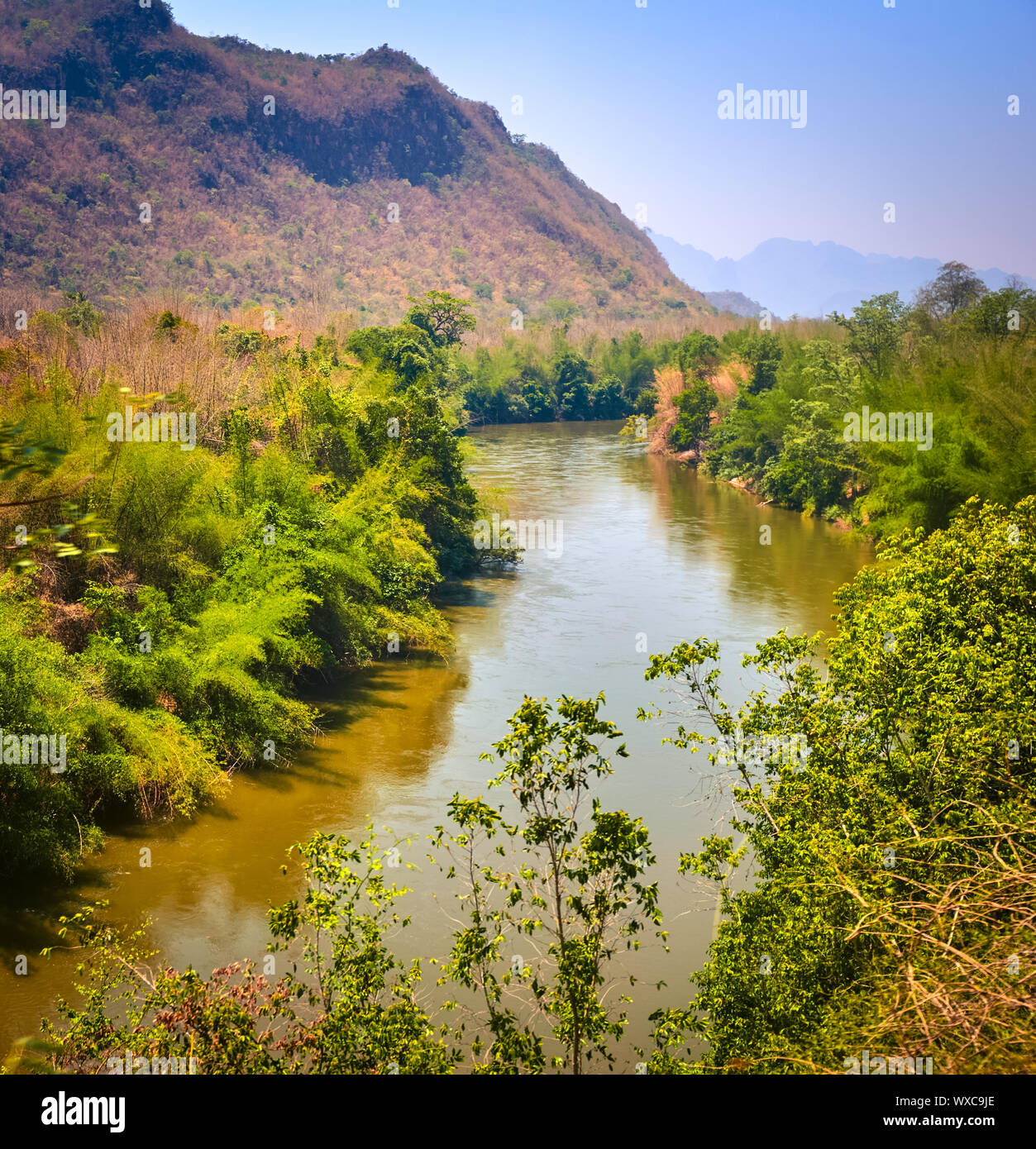 Kwai tree hi-res stock photography and images - Alamy