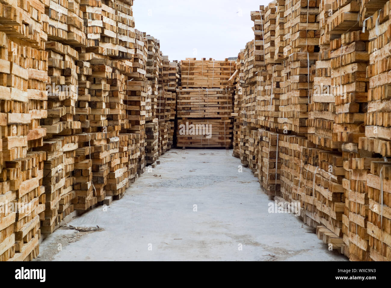 Wood storage warehouse in timber processing plant hi-res stock ...