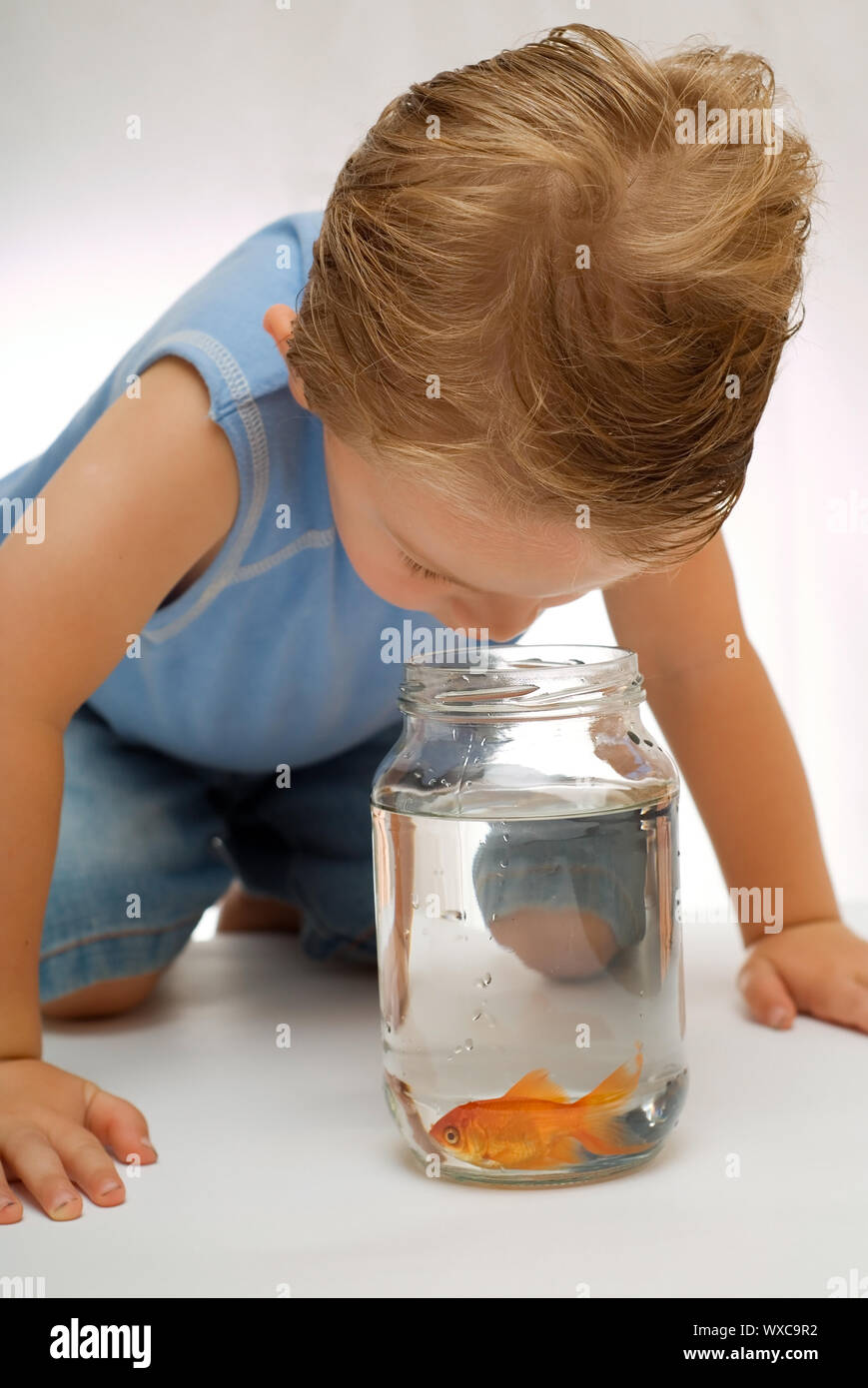 Boy playing with goldfish hi-res stock photography and images - Alamy