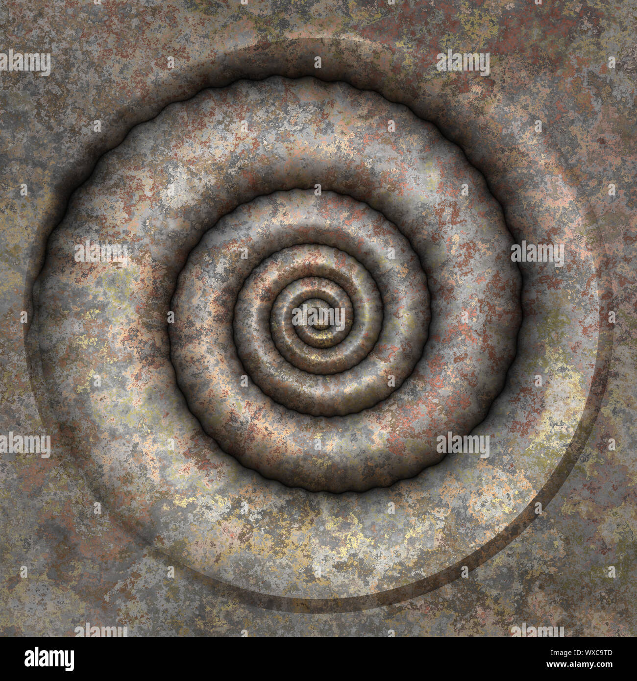 Fossil shell pattern spiral texture hi-res stock photography and images ...