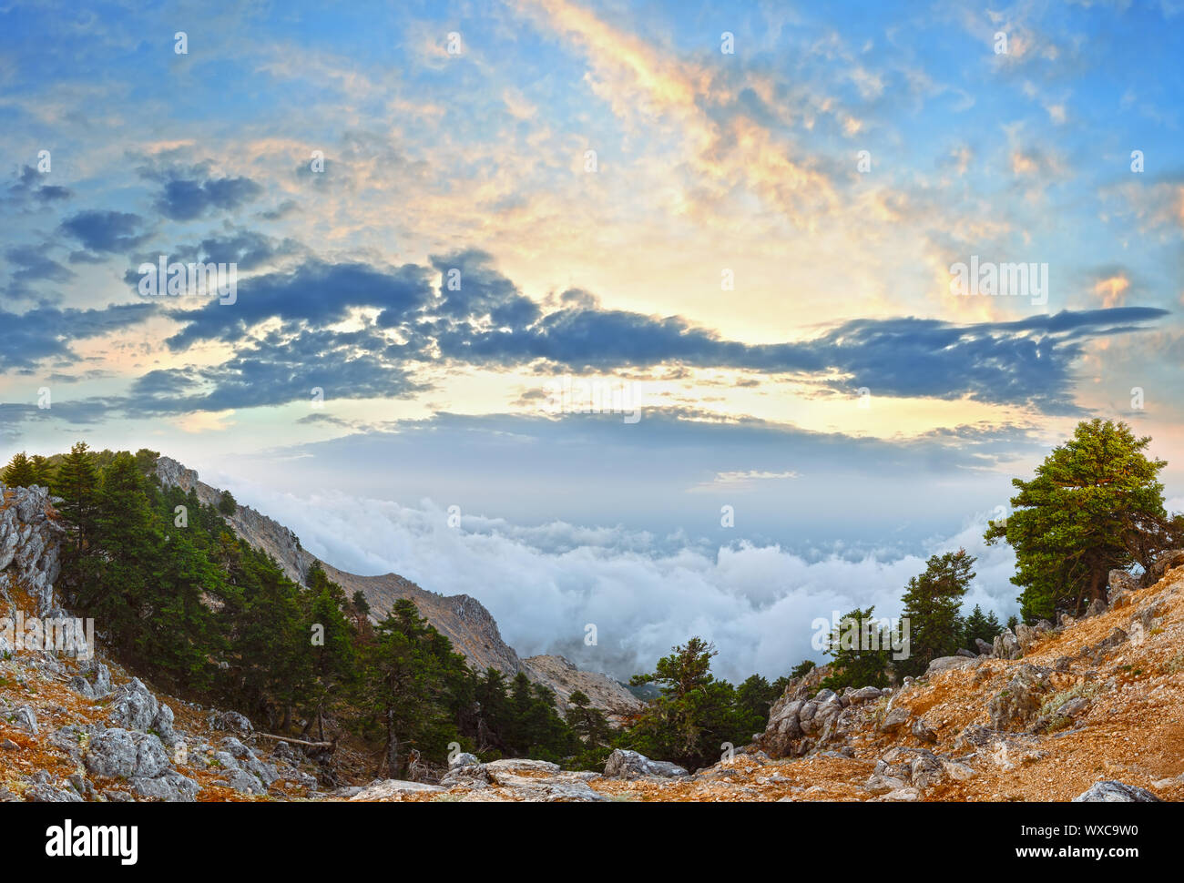Summer top of Mount Aenos, Kefalonia, Greece Stock Photo - Alamy