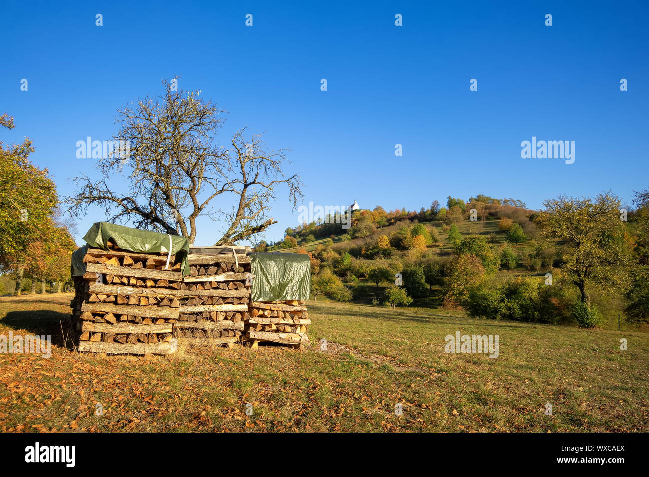 Remigius hi-res stock photography and images - Alamy