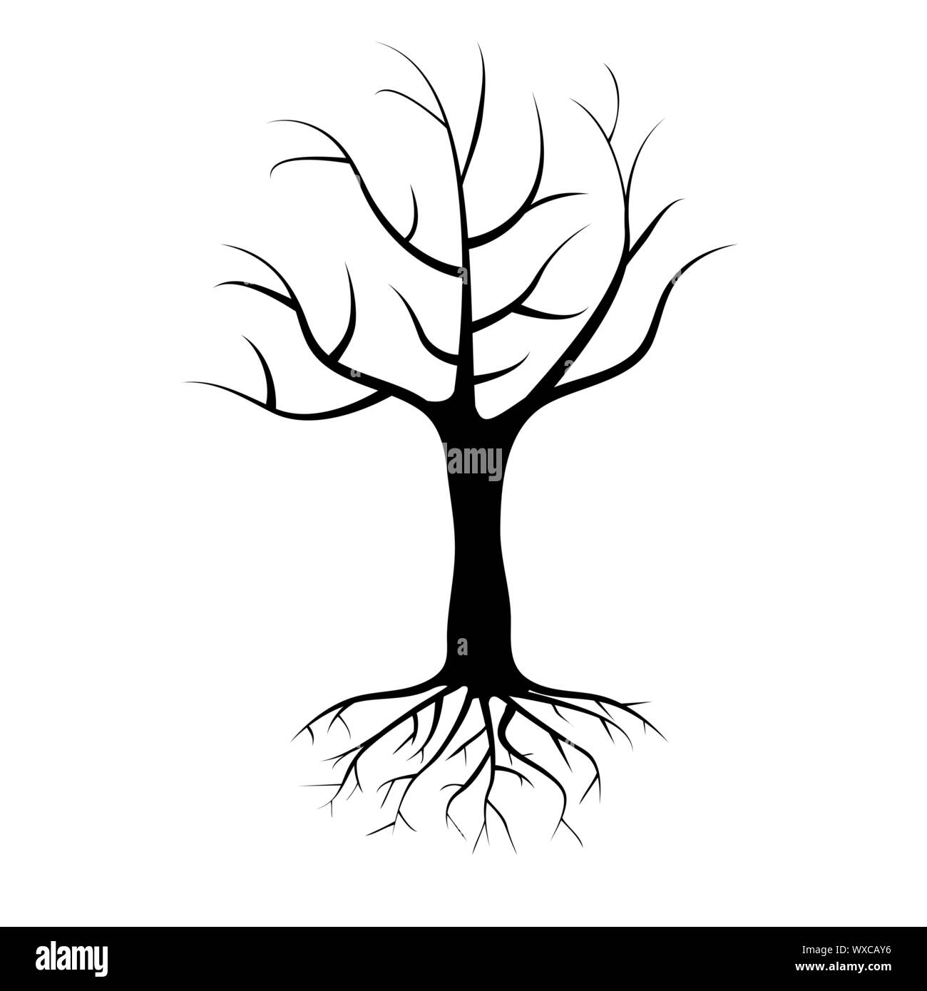 Dead single tree with roots isolated on white background. Bare tree ...