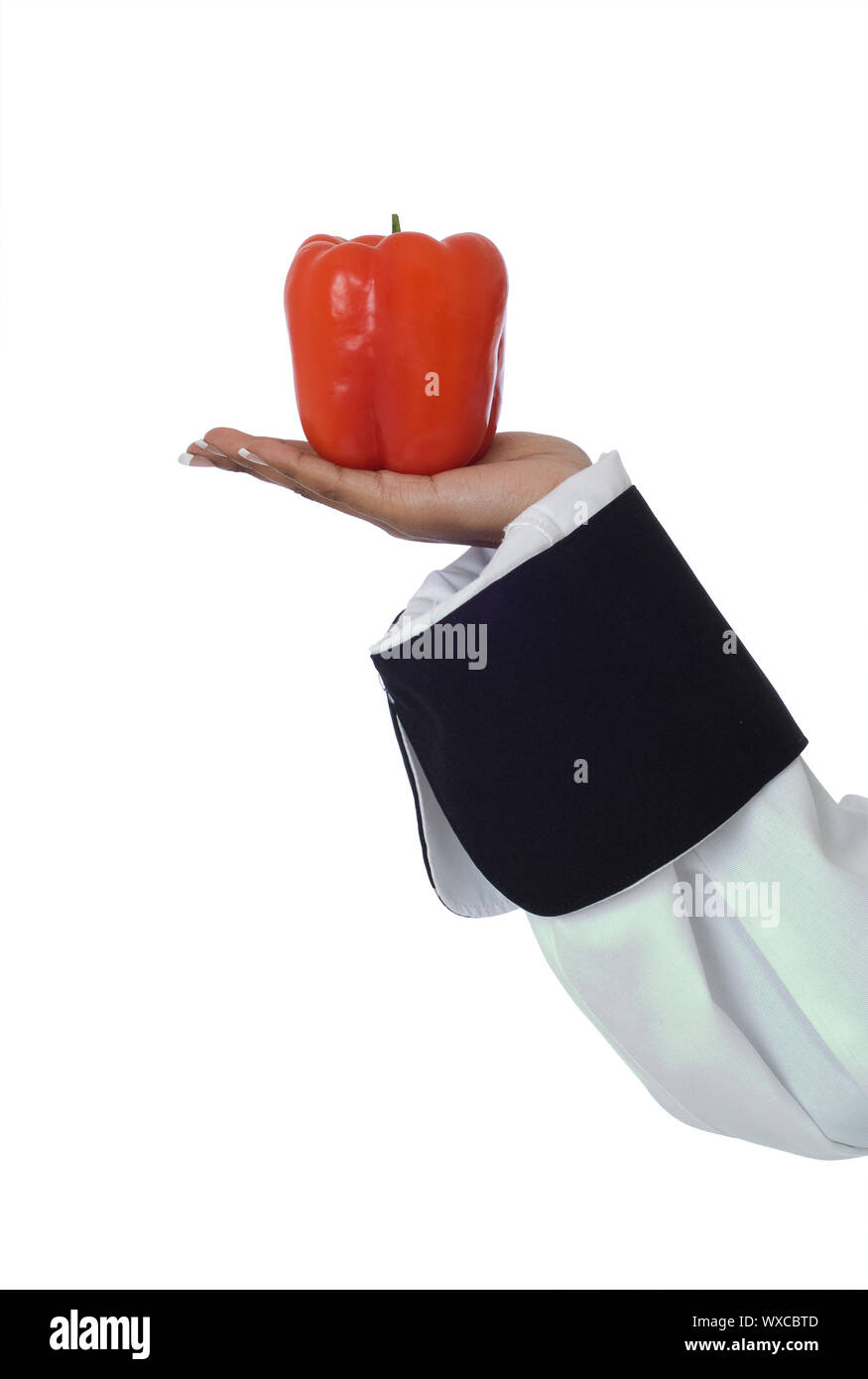 Studio isolated woman female chef hand with red pepper on white Stock ...