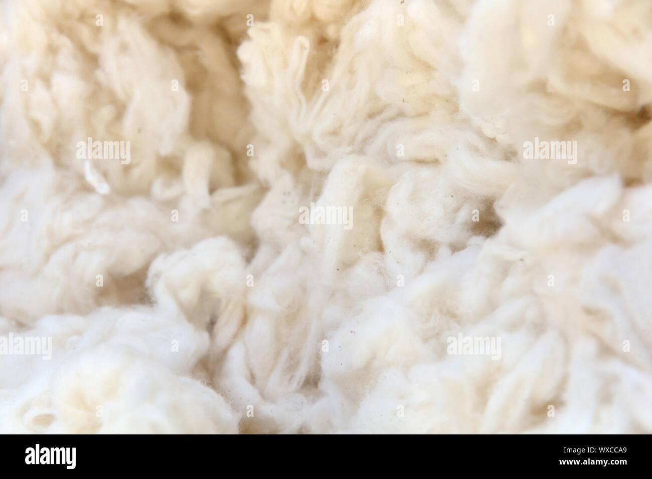 cotton wool background Stock Photo - Alamy